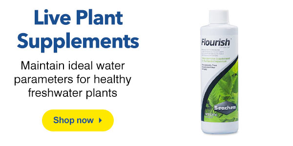 Shop for Freshwater Plants and Supplies at LiveAquaria