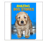 20-Wonderful Days of Giving - WIN a Copy of the New Book, Amazing Dog ...
